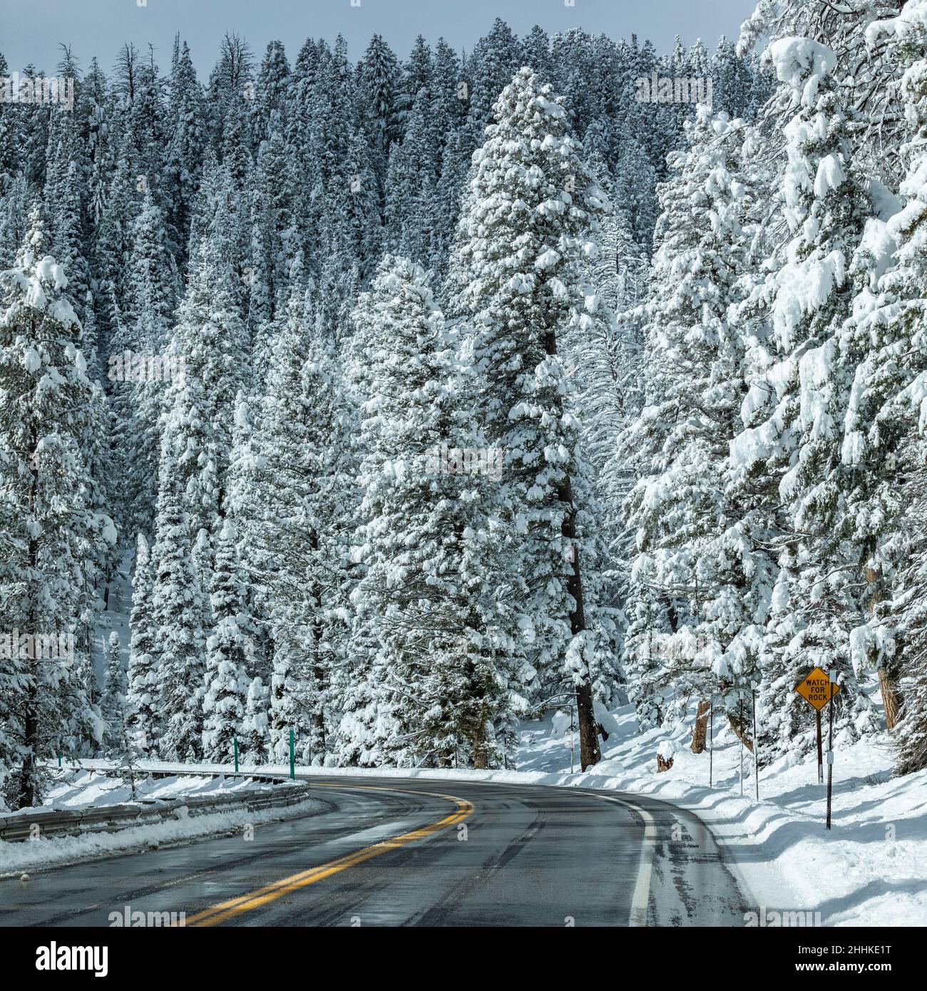 USA, Idaho, Ketchum, Road through snowy forest Stock Photo - Alamy