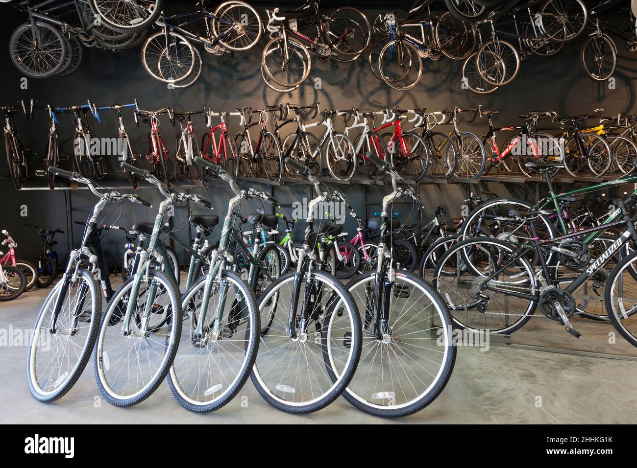 Interior of bicycle shop Stock Photo - Alamy