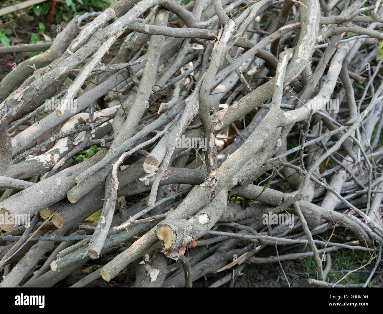 pile of tree branches, used for firewood Stock Photo - Alamy