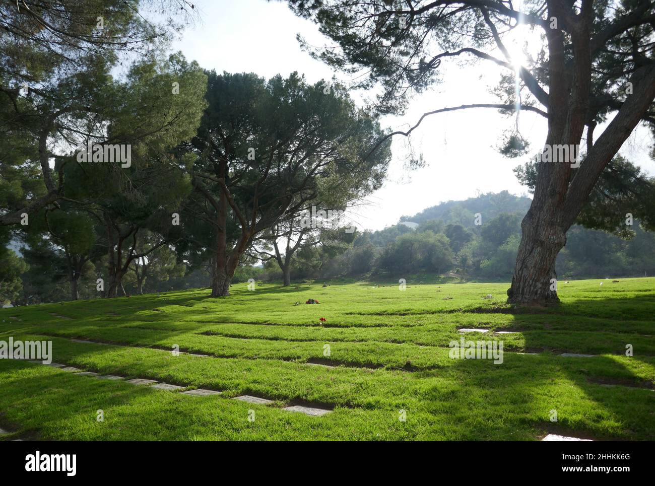 Los Angeles, California, USA 19th January 2022 Actor I. Stanford Jolley ...