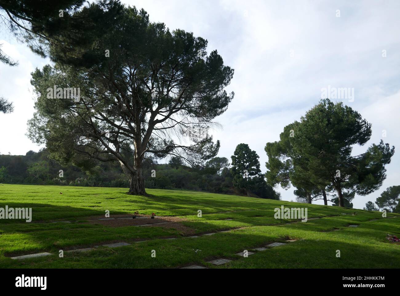 Los Angeles, California, USA 19th January 2022 Actor I. Stanford Jolley ...
