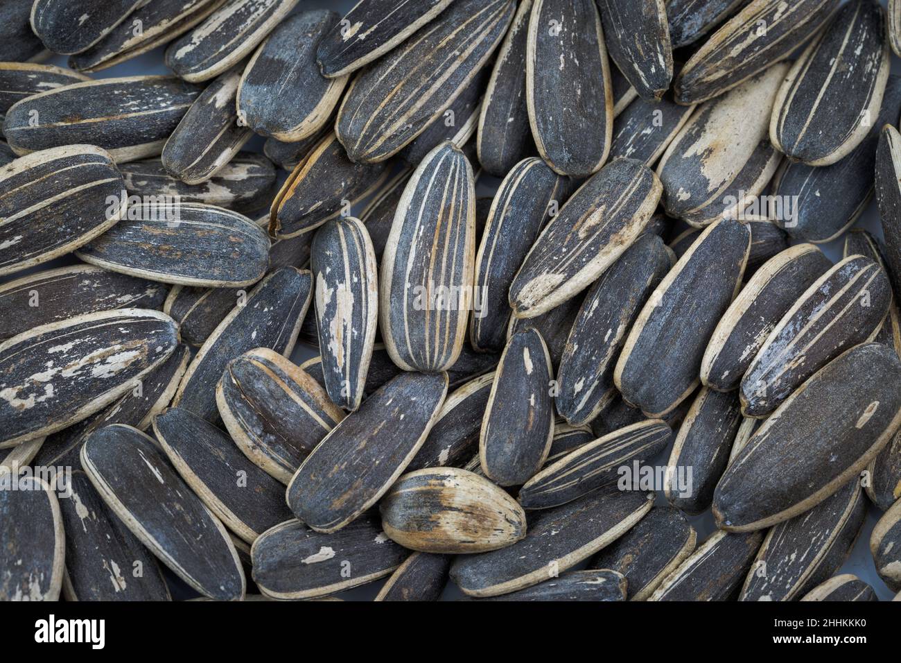 Sun flowers seeds background Stock Photo - Alamy