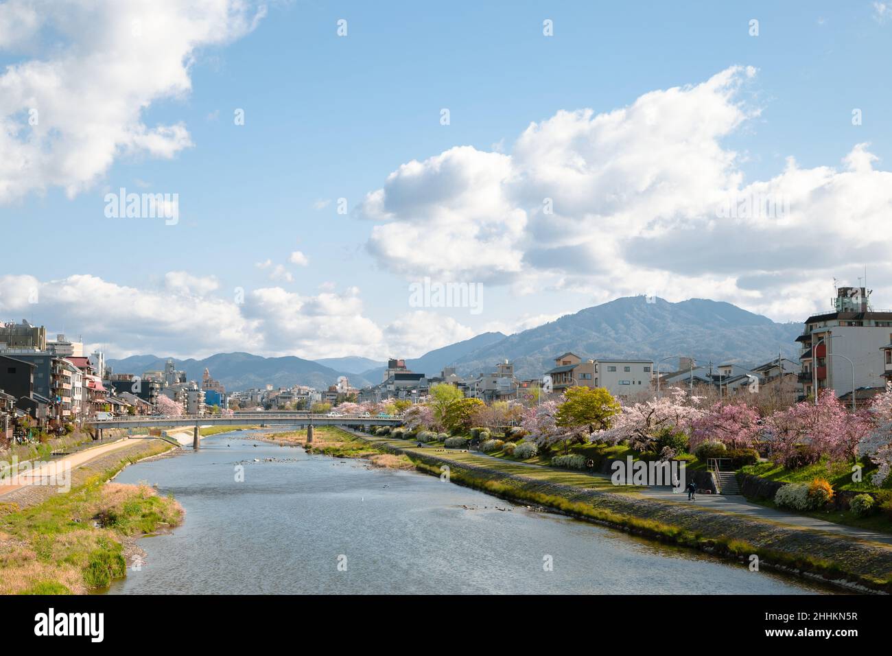 Pontocho street and Kamo river at spring in Kyoto, Japan Stock Photo ...