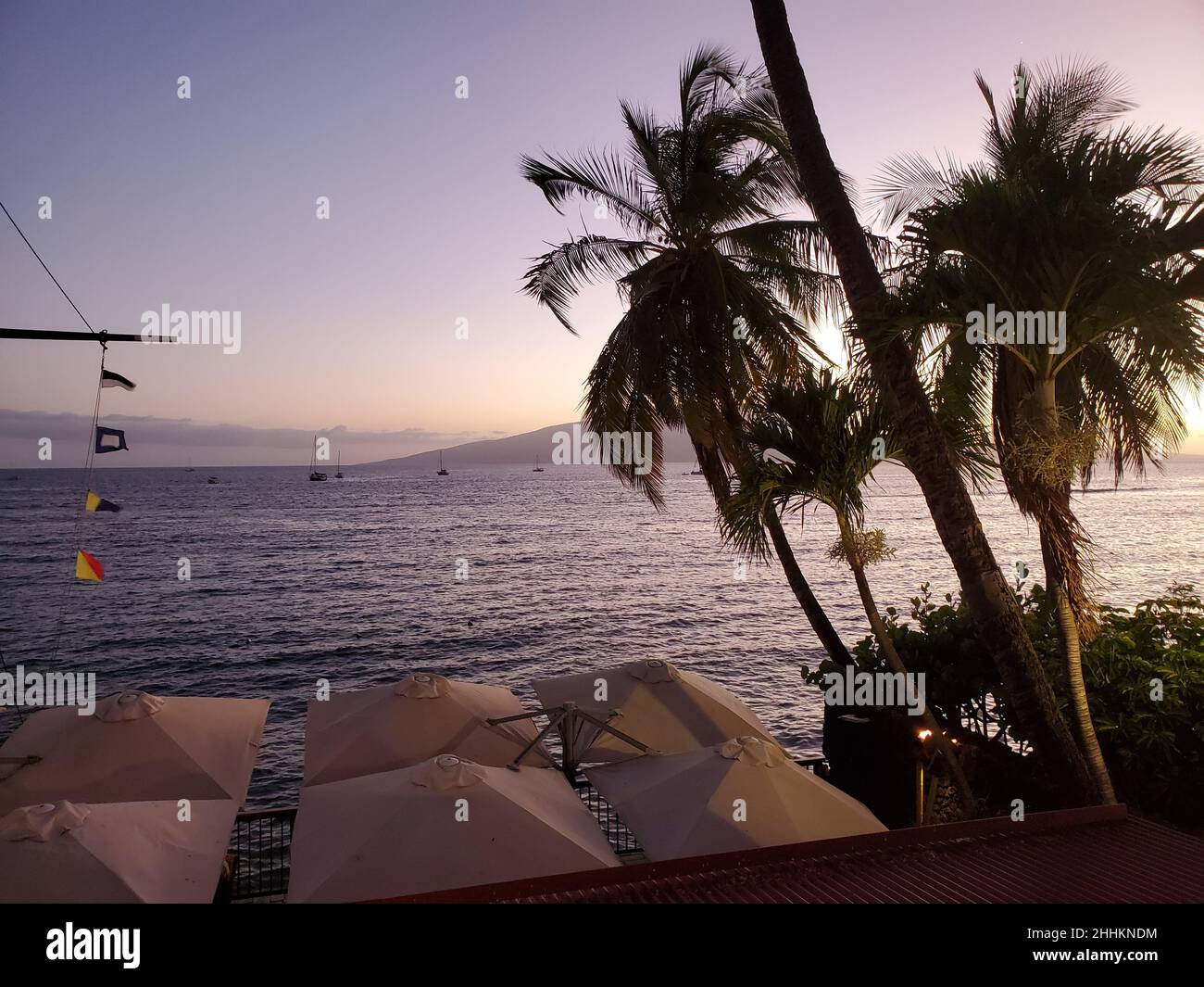 View of palm trees and Pacific Ocean from Kimo's Restaurant at sunset ...