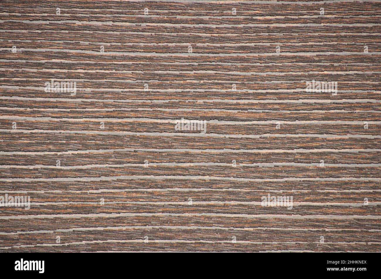 Dark beech, a flat surface of natural wood with a textured striped pattern close-up. Background ...
