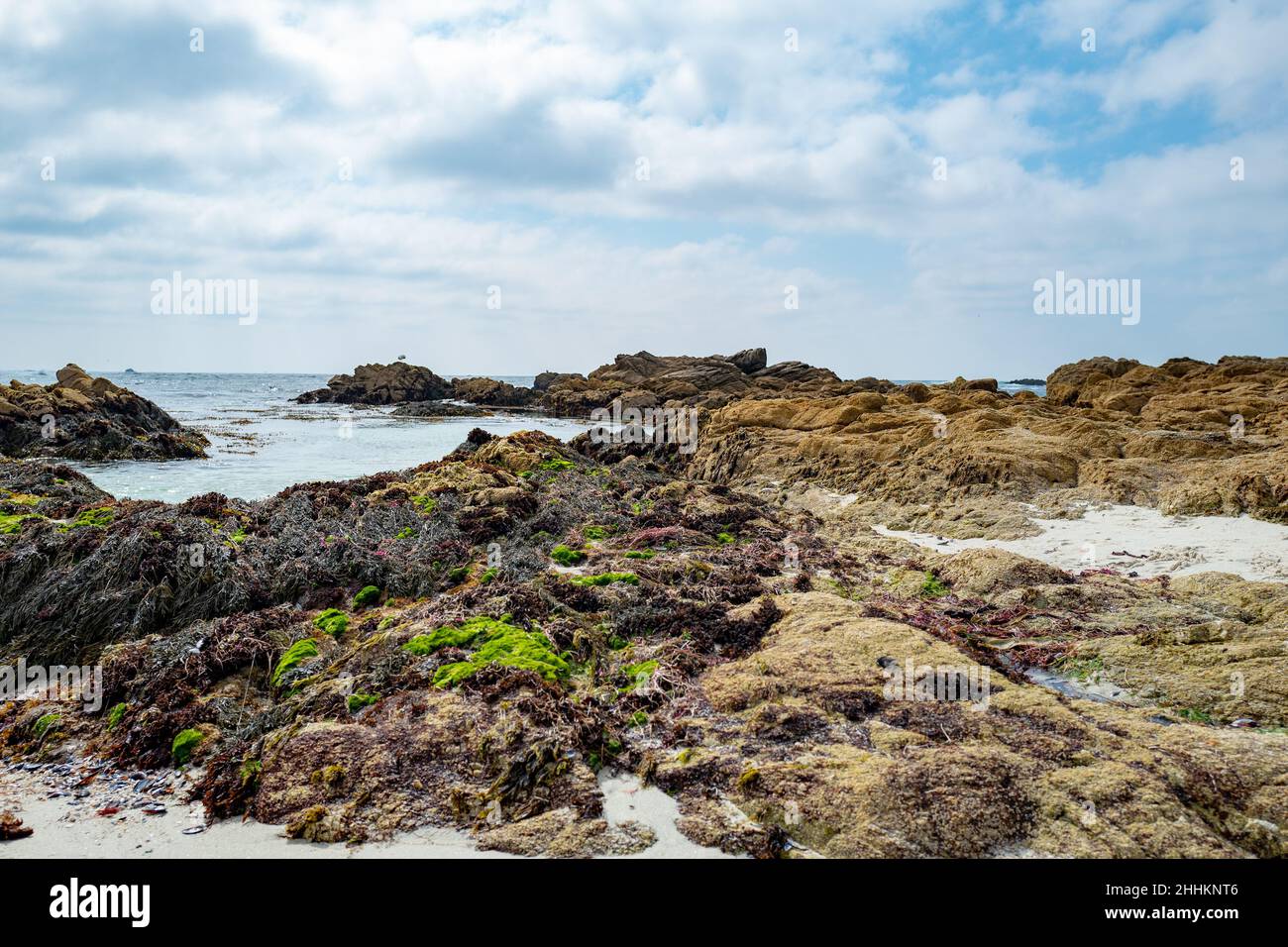 Rocks and tidepool areas at Bird Rock Beach, Pebble Beach, California ...
