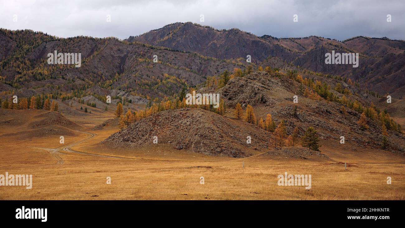 A mountain range with rocky peaks overgrown with rare pines. Karakol ...