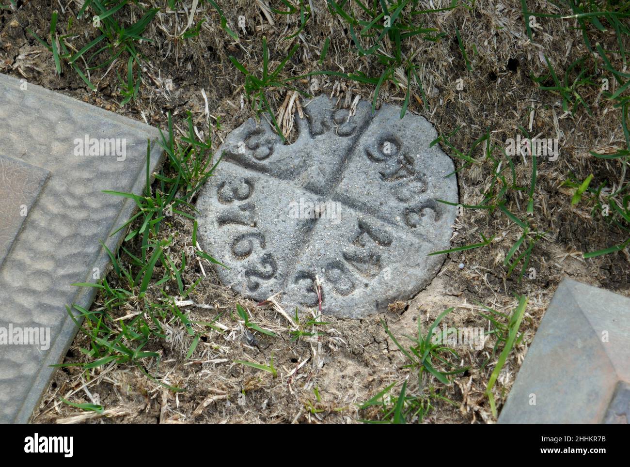 Los Angeles, California, USA 19th January 2022 Actor Timothy Patrick ...