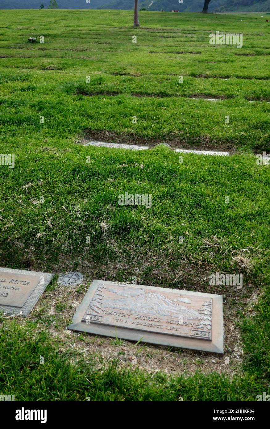 Los Angeles, California, USA 19th January 2022 Actor Timothy Patrick ...