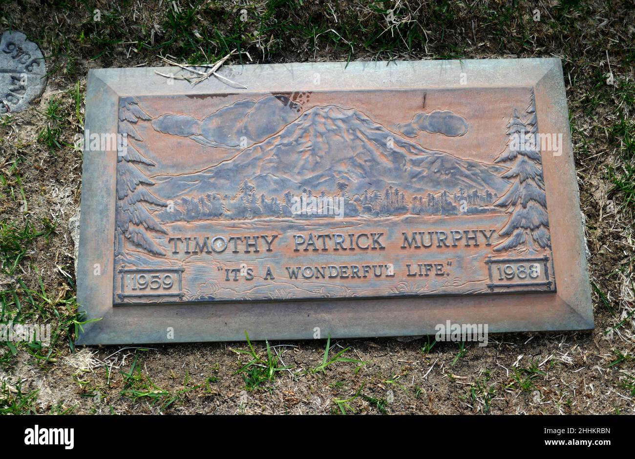 Los Angeles, California, USA 19th January 2022 Actor Timothy Patrick ...