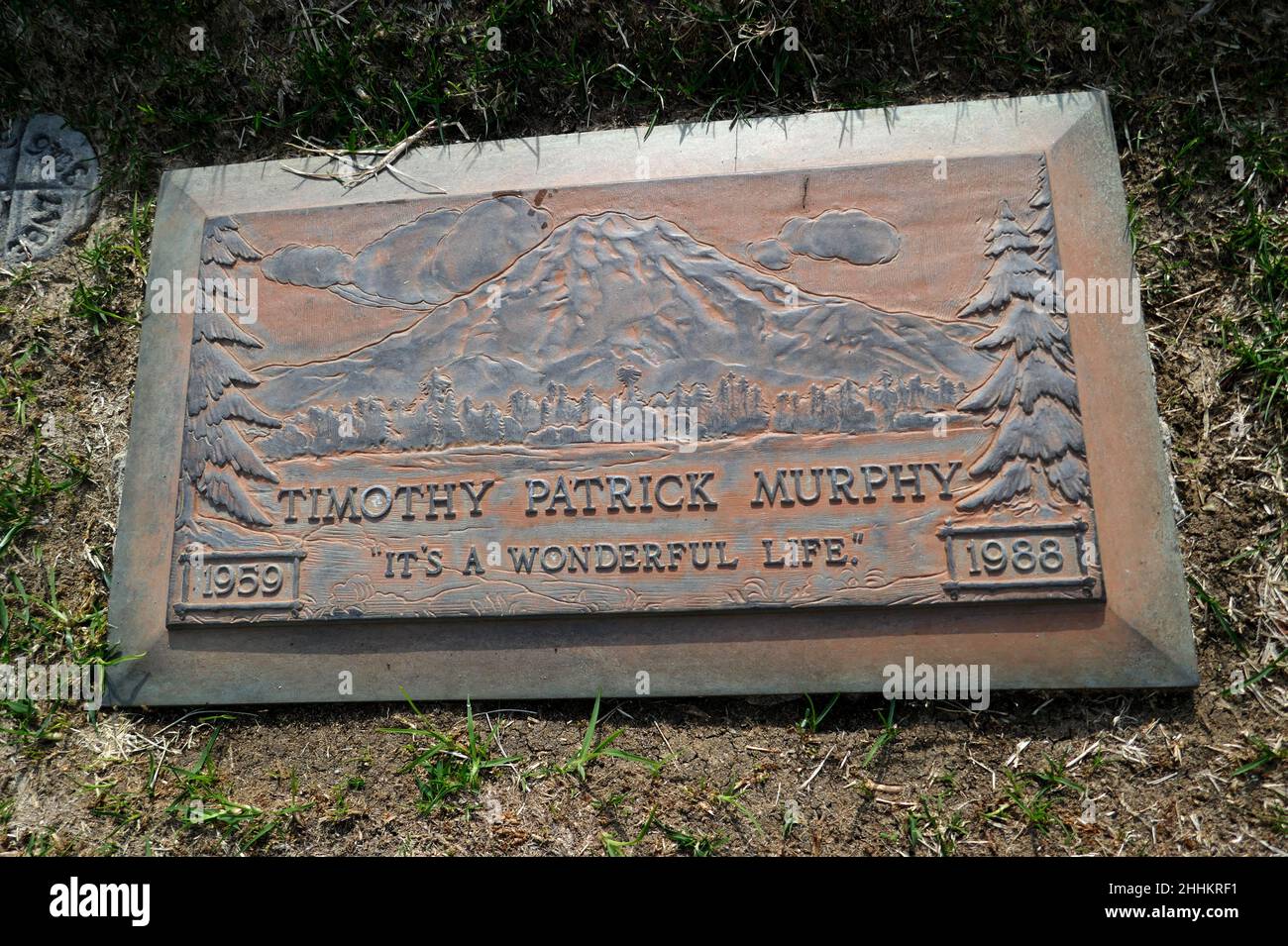 Timothy Patrick Murphy