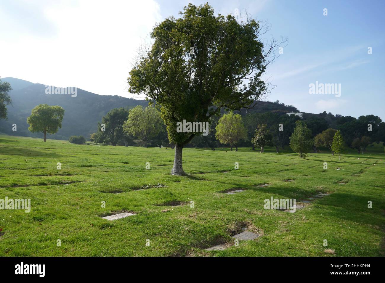 Los Angeles, California, USA 19th January 2022 Actor Timothy Patrick ...