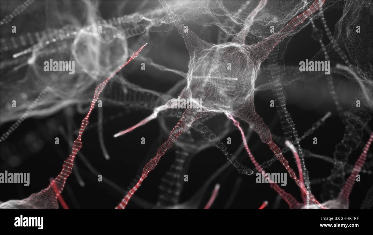 Neuronal network of neuron cells. 3D illustration. Neuroscience and ...