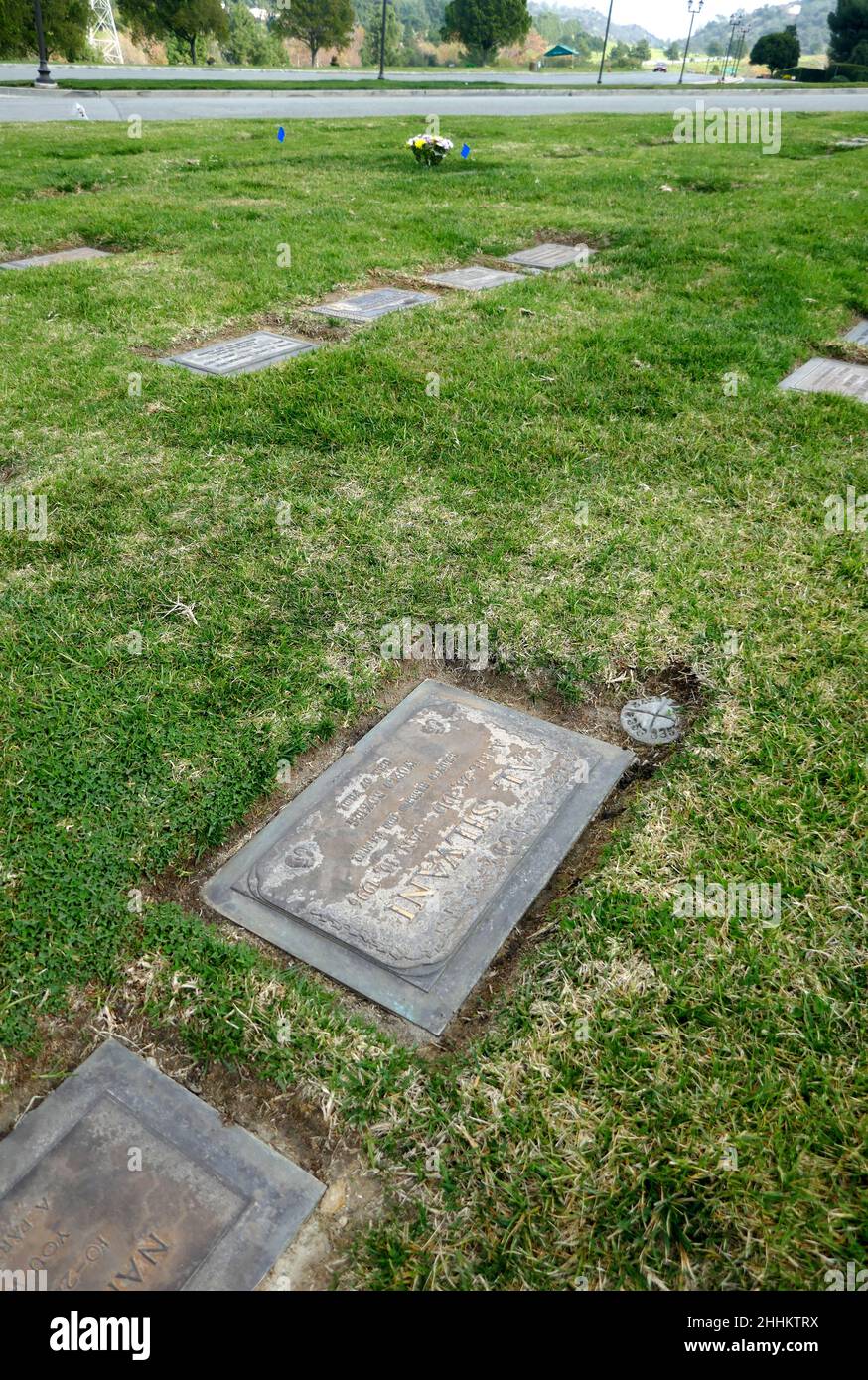 Los Angeles, California, USA 19th January 2022 Boxer/Actor Al Silvani's ...