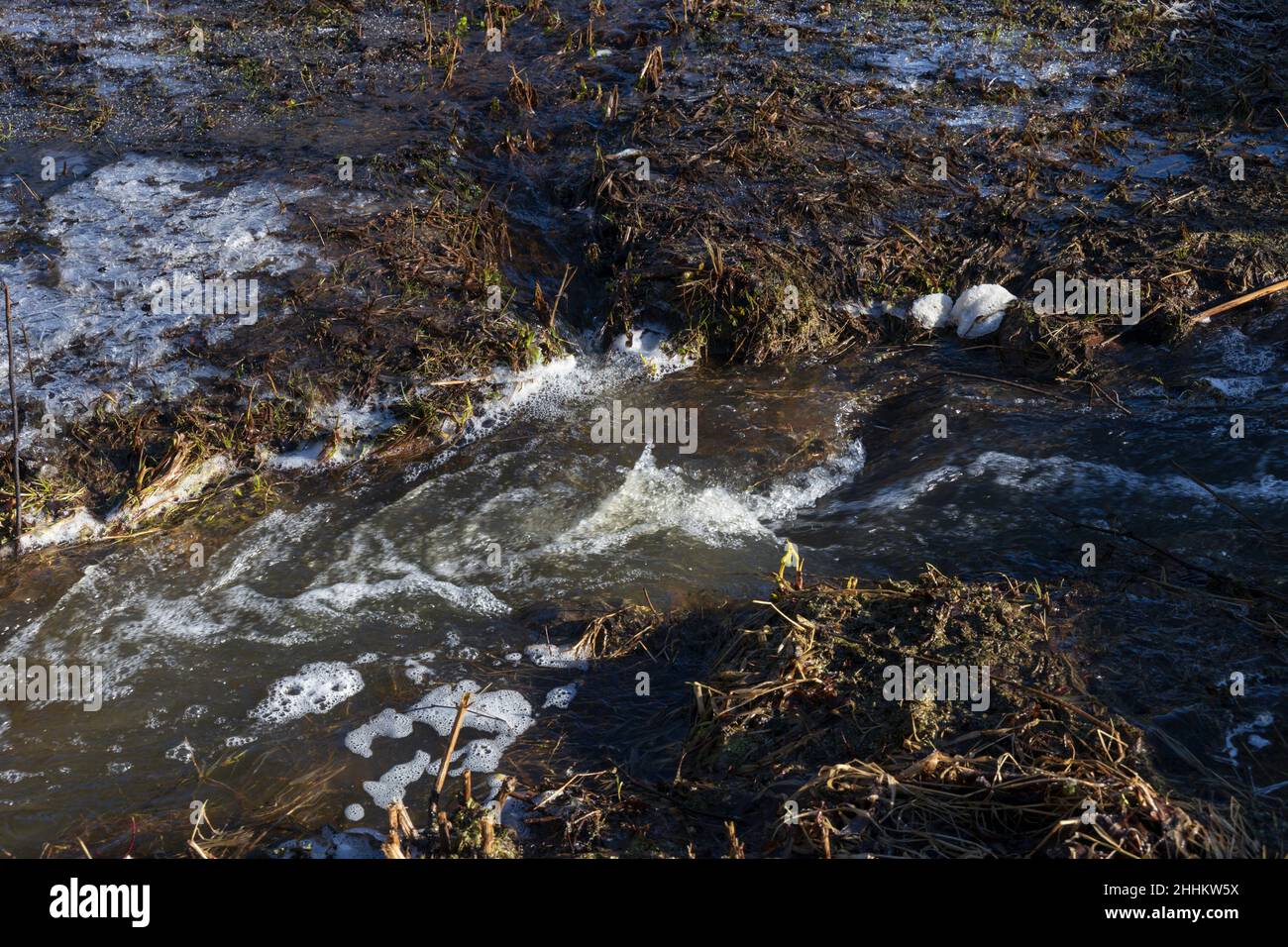 Spring scene with a bubbling stream that broke through a channel in the ...