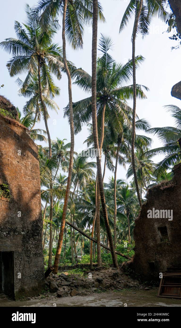 The abandoned ruins of Revdanda fort owned by Portuguese during their ...