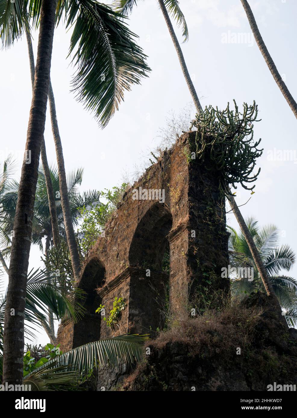 The abandoned ruins of Revdanda fort owned by Portuguese during their ...