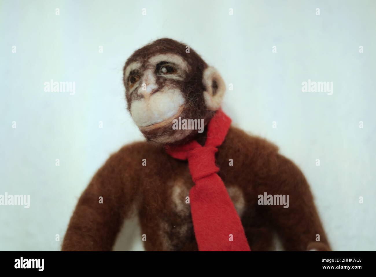 Close-up of a Felt Chimp wearing a red tie on a white background Stock ...