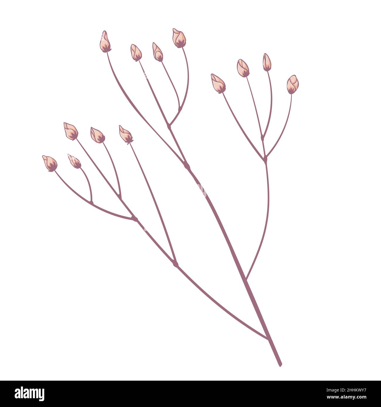 I branch Stock Vector Images - Alamy