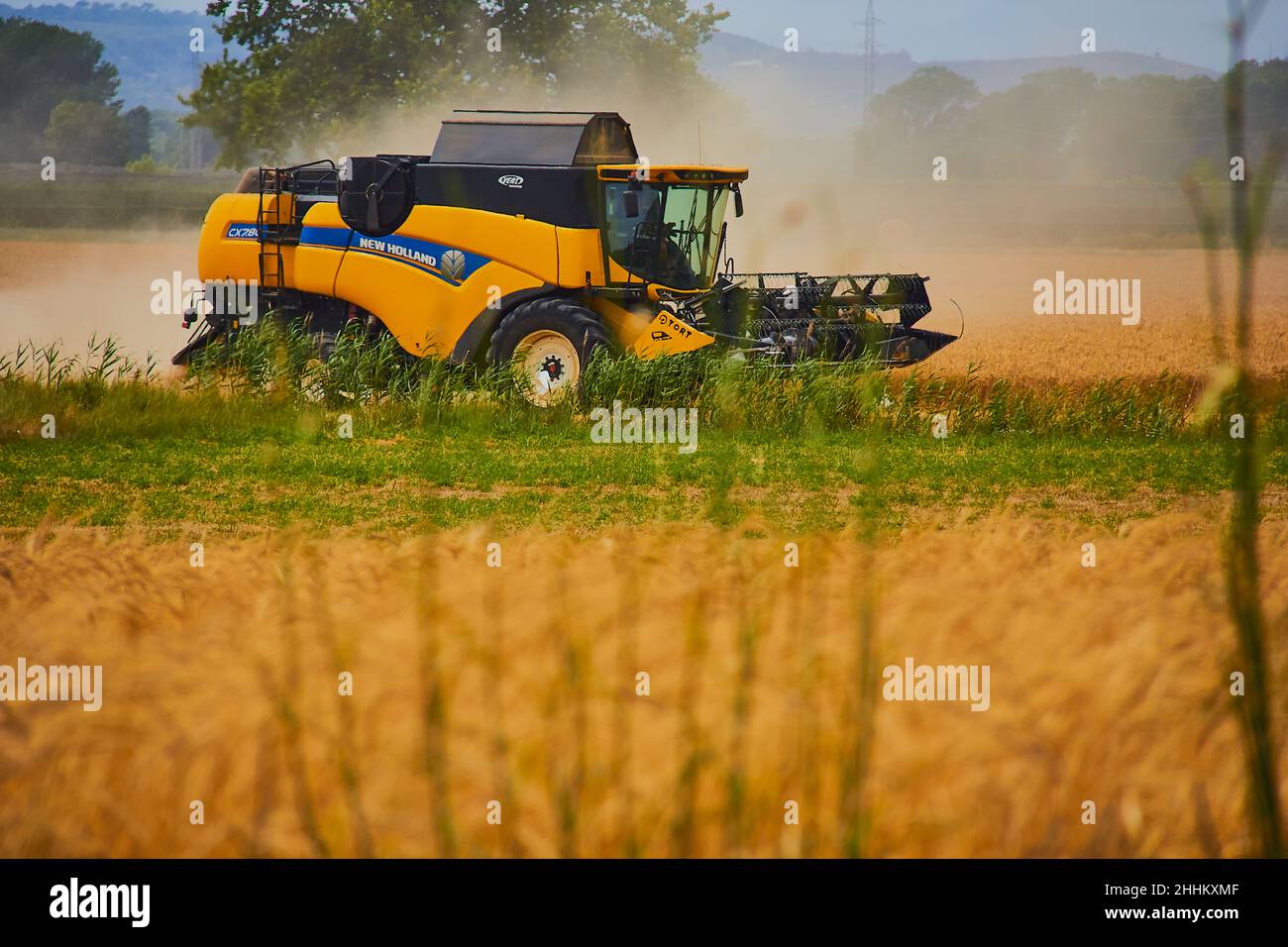 wheat harvesting machine Stock Photo - Alamy