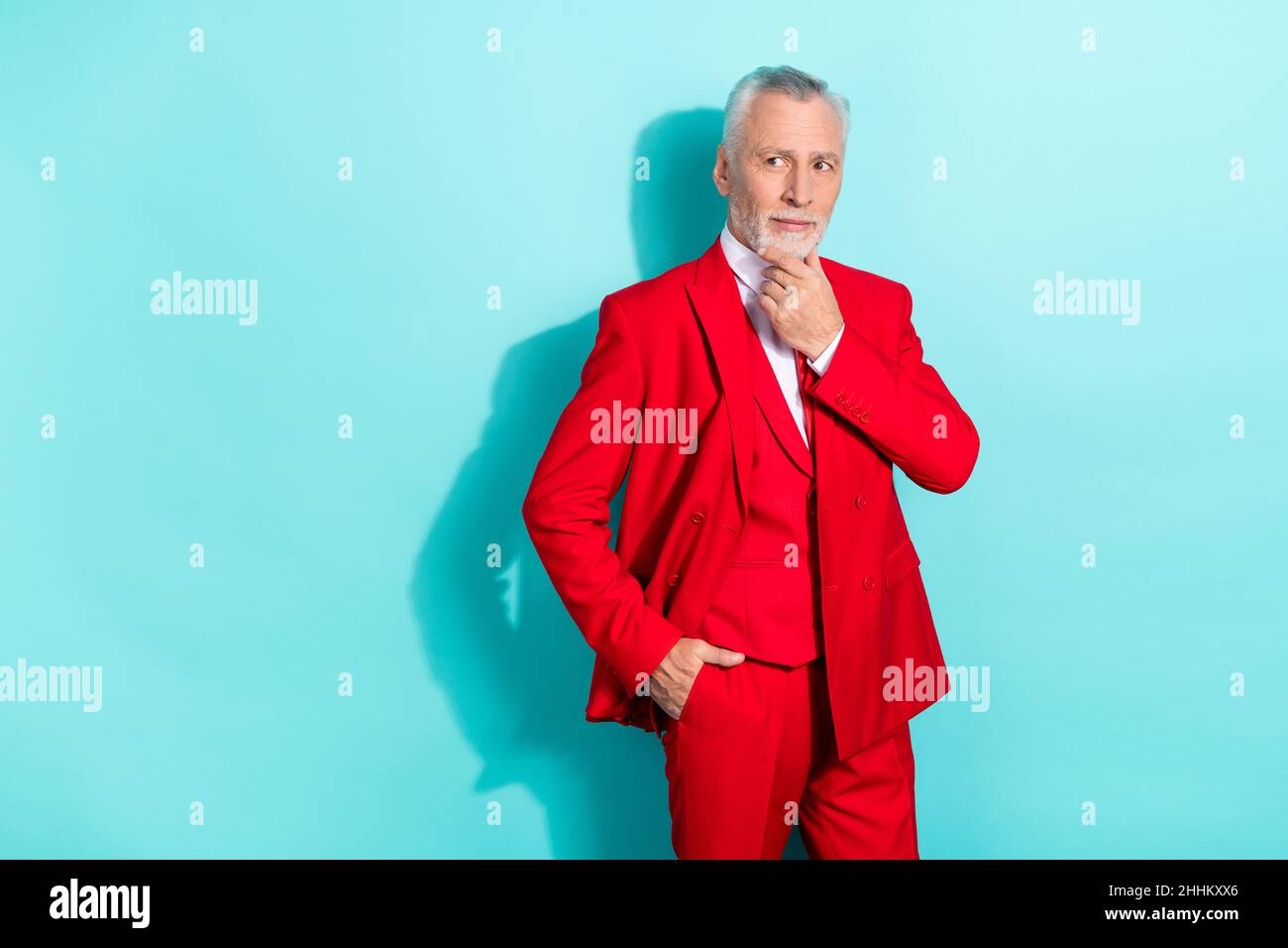 Portrait of attractive minded classy grey-haired man mister thinking ...