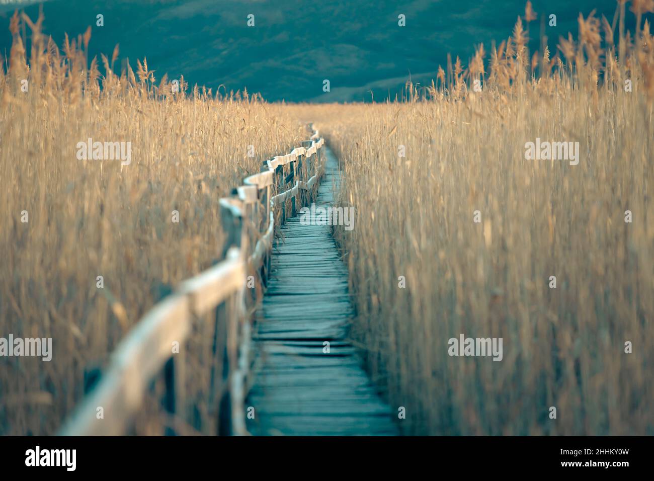 Old wooden boardwalk with a railing on the side and watchtower in the ...
