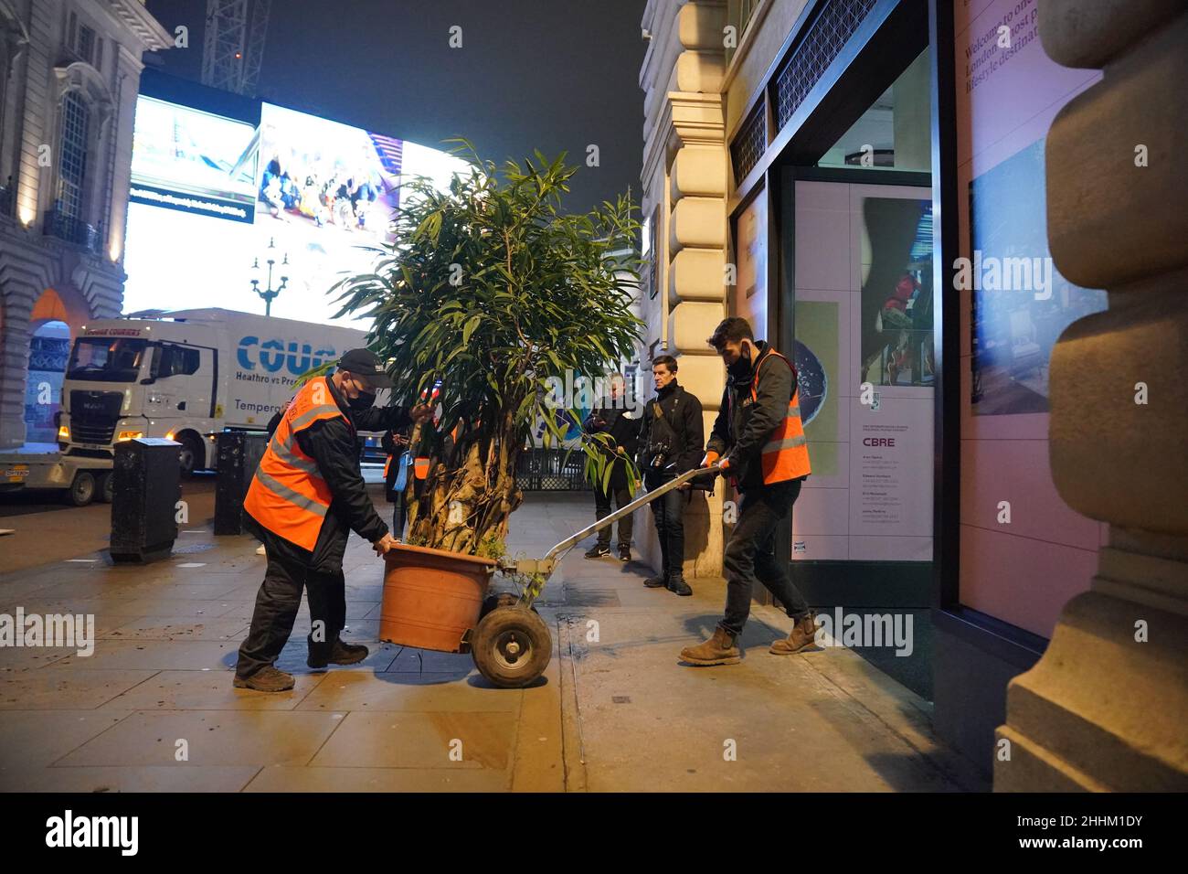 Rainforest trees, some of which are 5m tall and in full foliage, arrive ...