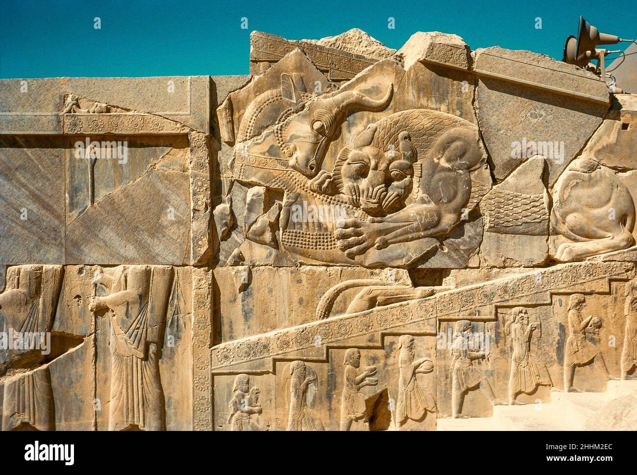 Bull Capital Persepolis Iran High Resolution Stock Photography and ...