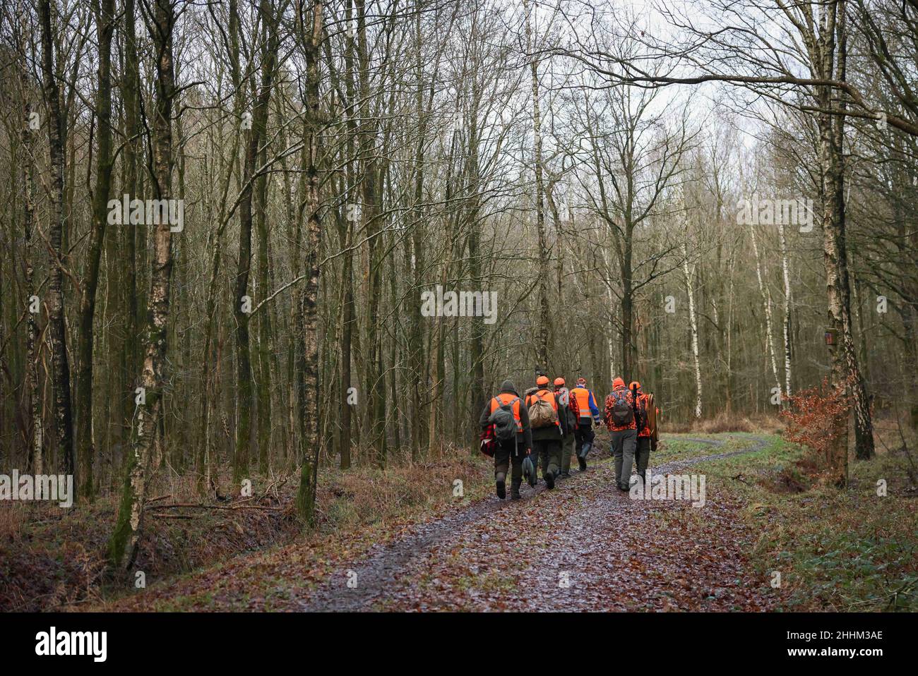 Drage, Germany. 15th Jan, 2022. A group of hunters walks along a dirt ...