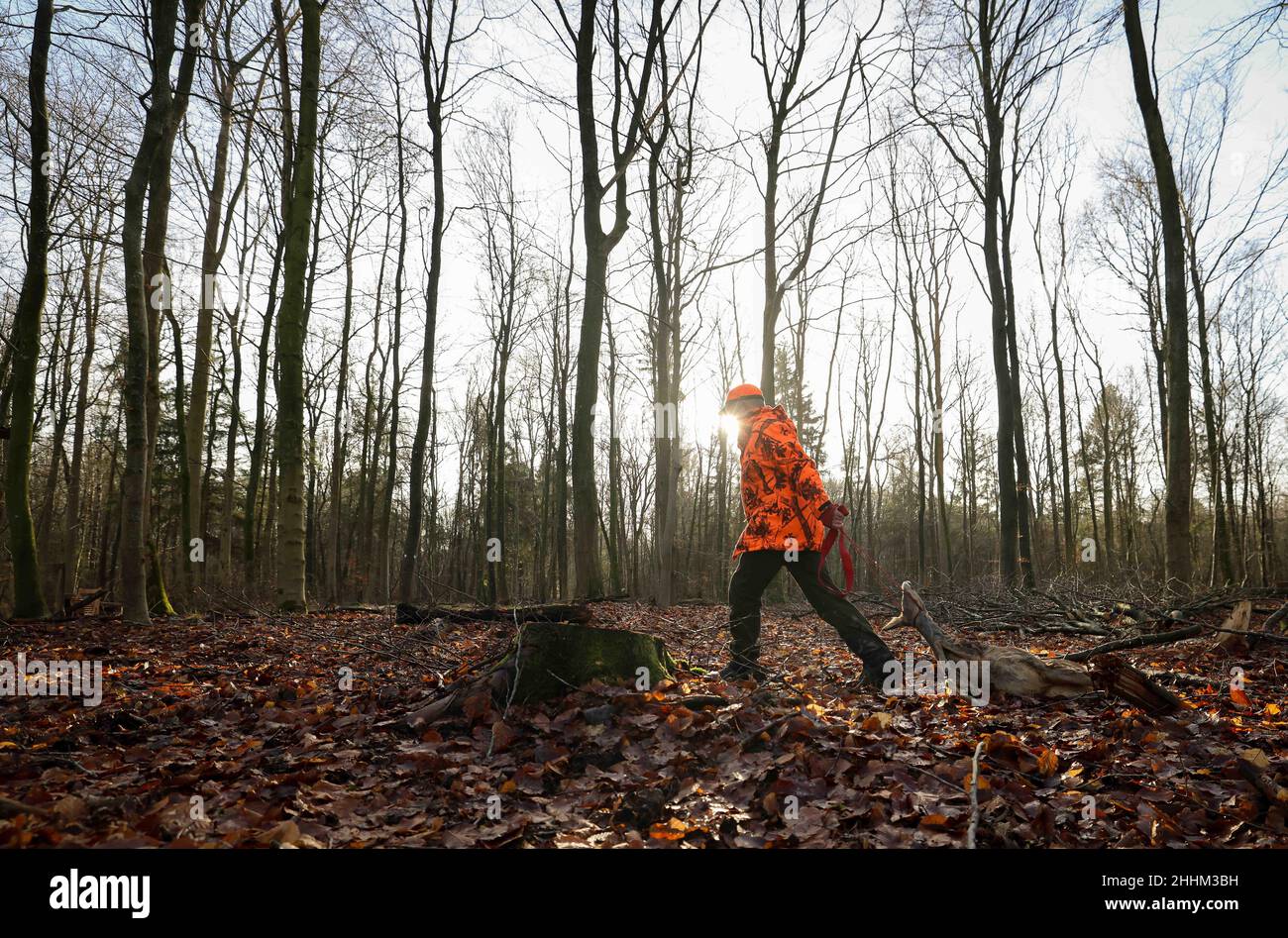 Drage, Germany. 15th Jan, 2022. Steffen Ahnert, hunter and hunting ...