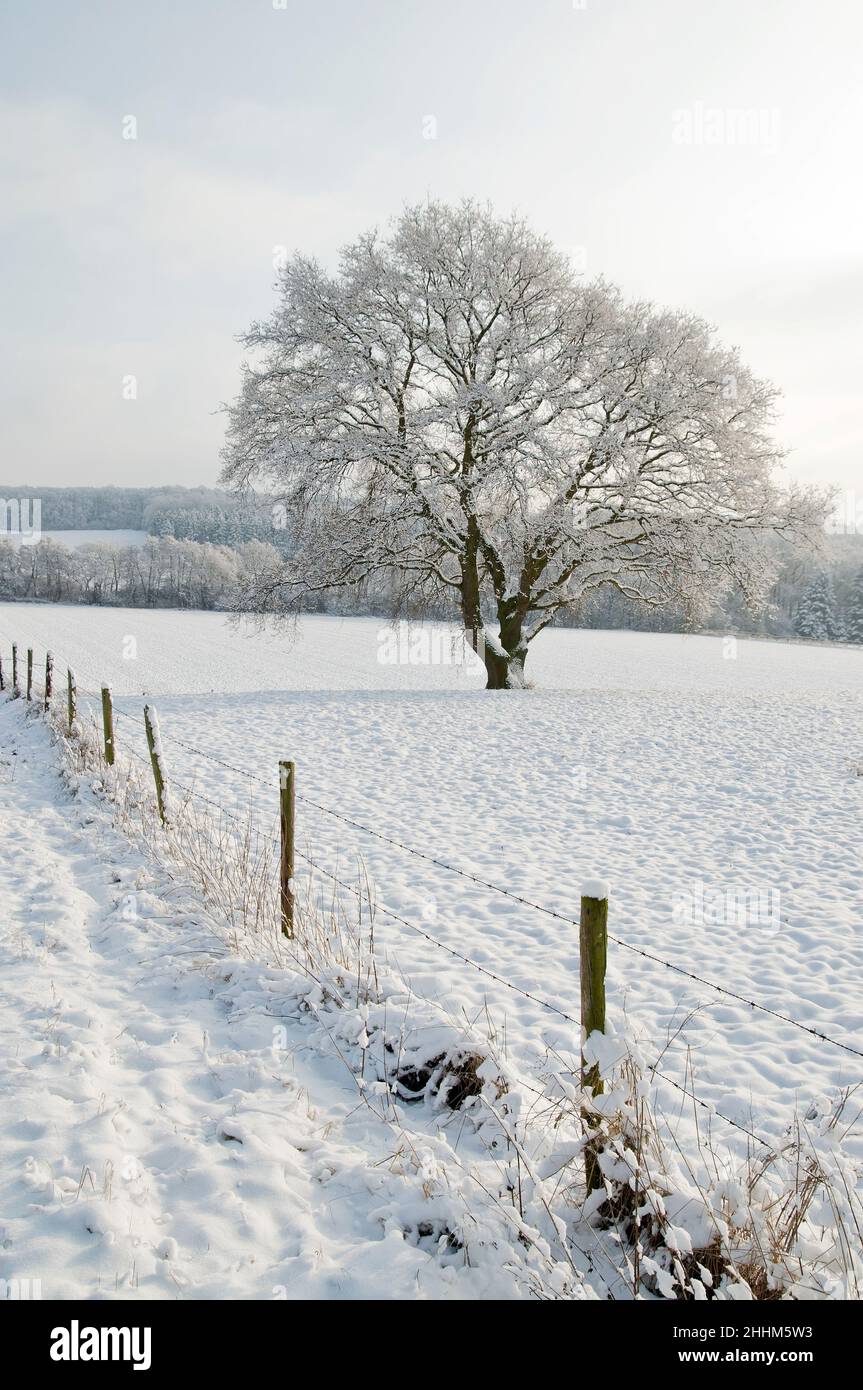 snowy winter landscape Stock Photo - Alamy