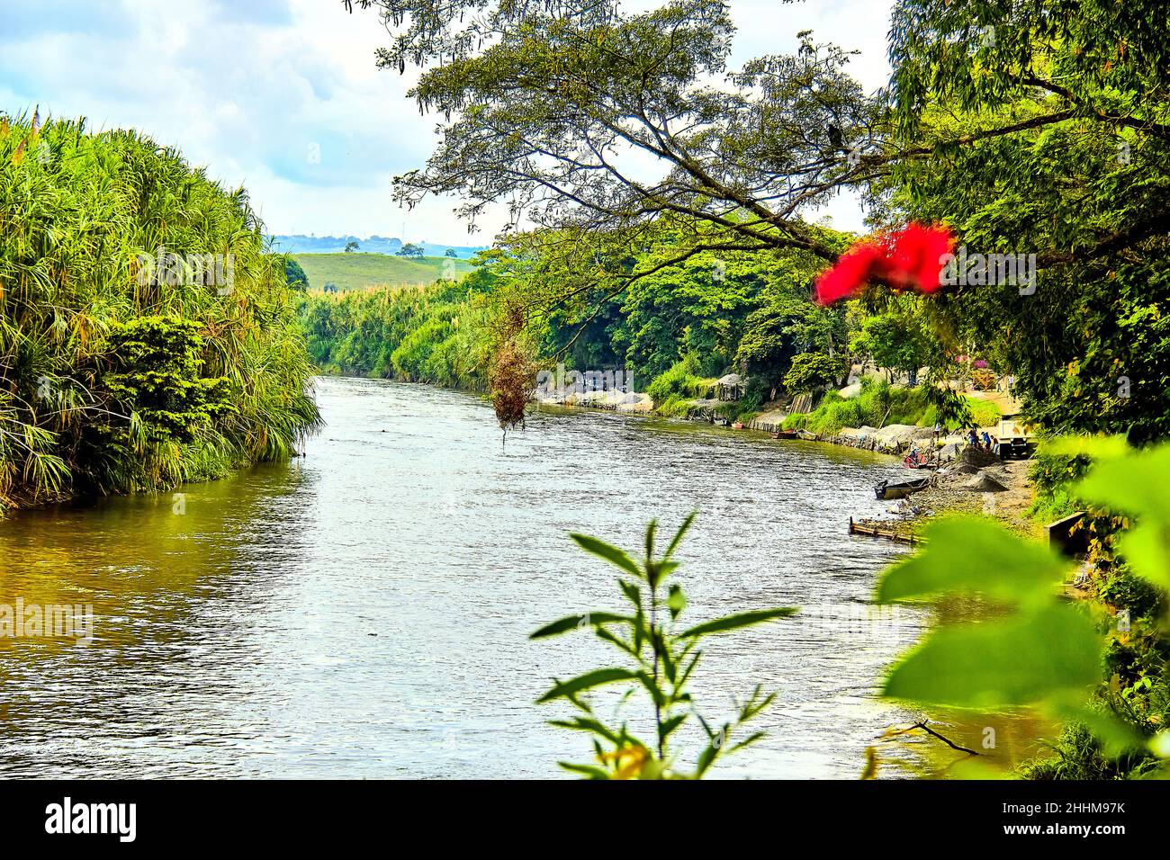 river crossing the inhospitable jungle Stock Photo - Alamy