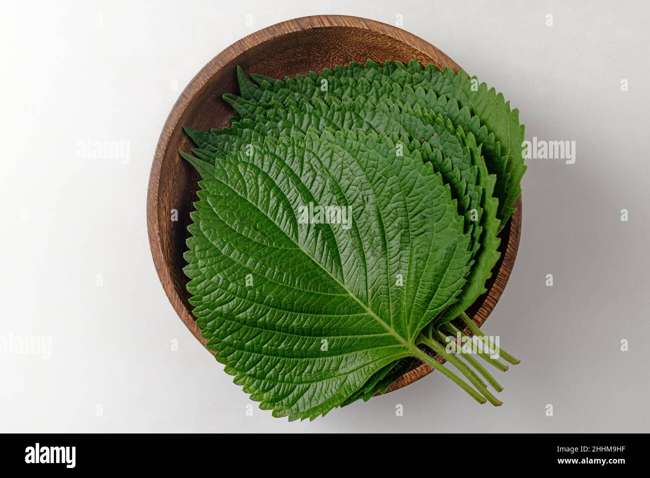 perilla leaves on a white background Stock Photo - Alamy