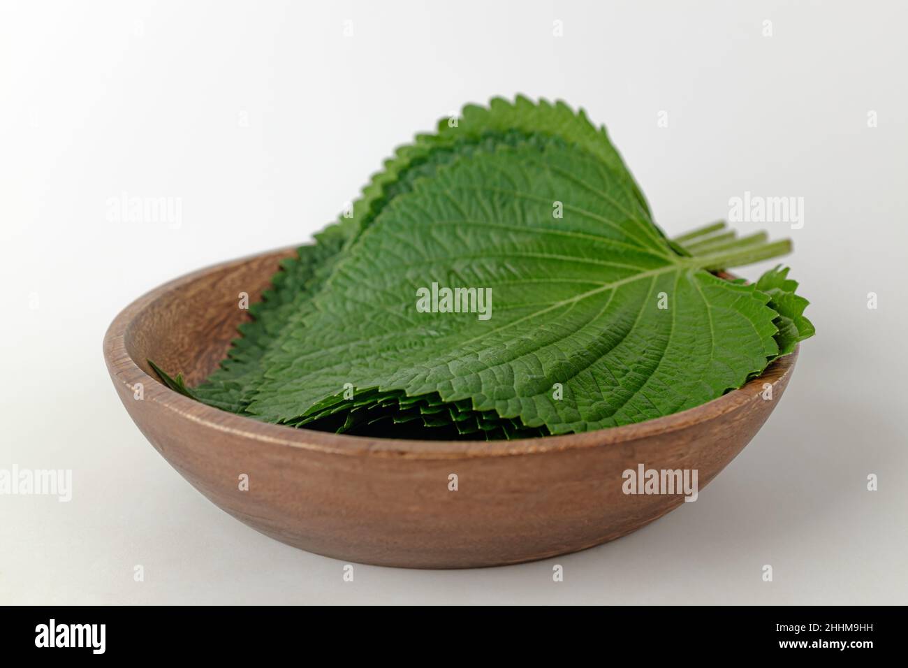 Perilla leaves hi-res stock photography and images - Alamy