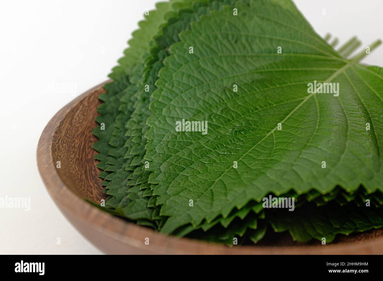 perilla leaves on a white background Stock Photo - Alamy