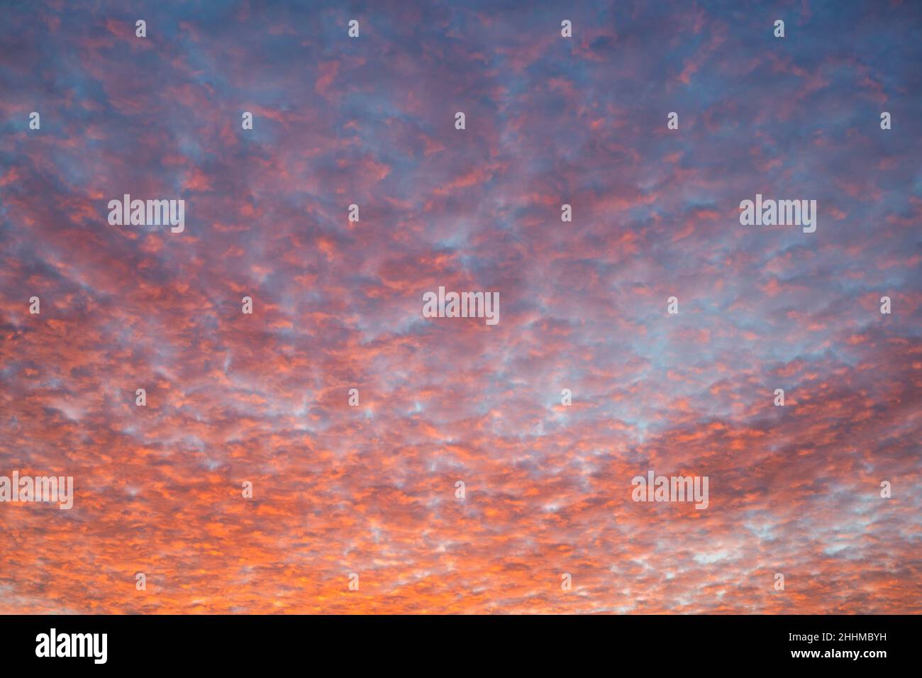 Winter red sky just before sunrise in the cotswold countryside ...
