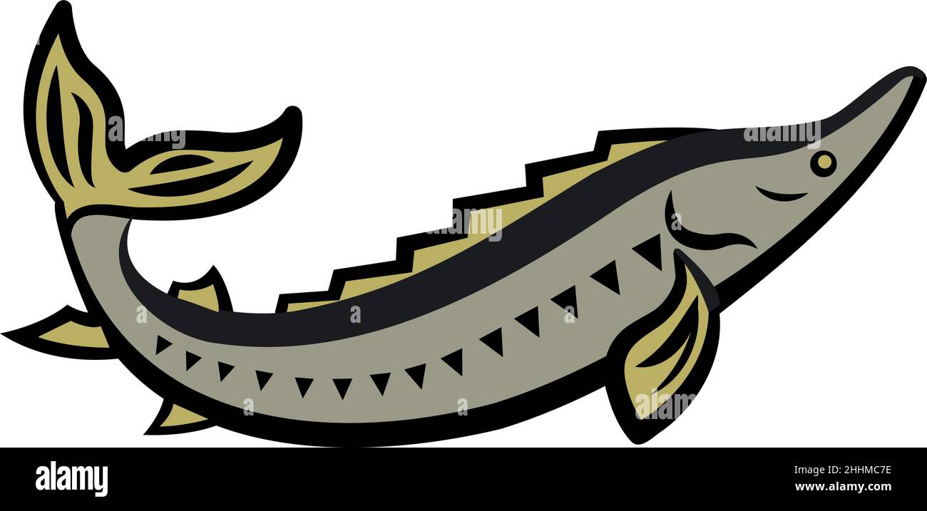 Sturgeon fish colorful sign and icon illustration Stock Vector Image ...