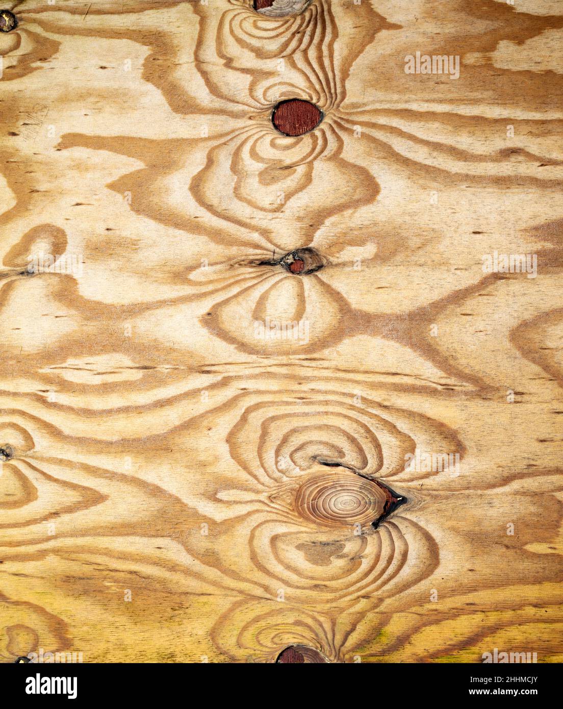 The abstract pattern of wood grain on a sheet of plyboard used as ...