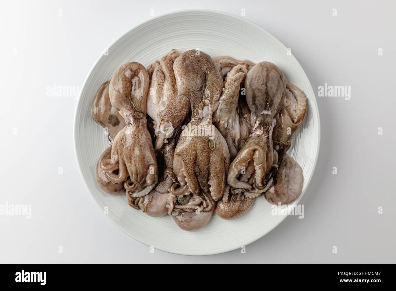 Webfoot octopus on a white background Stock Photo - Alamy