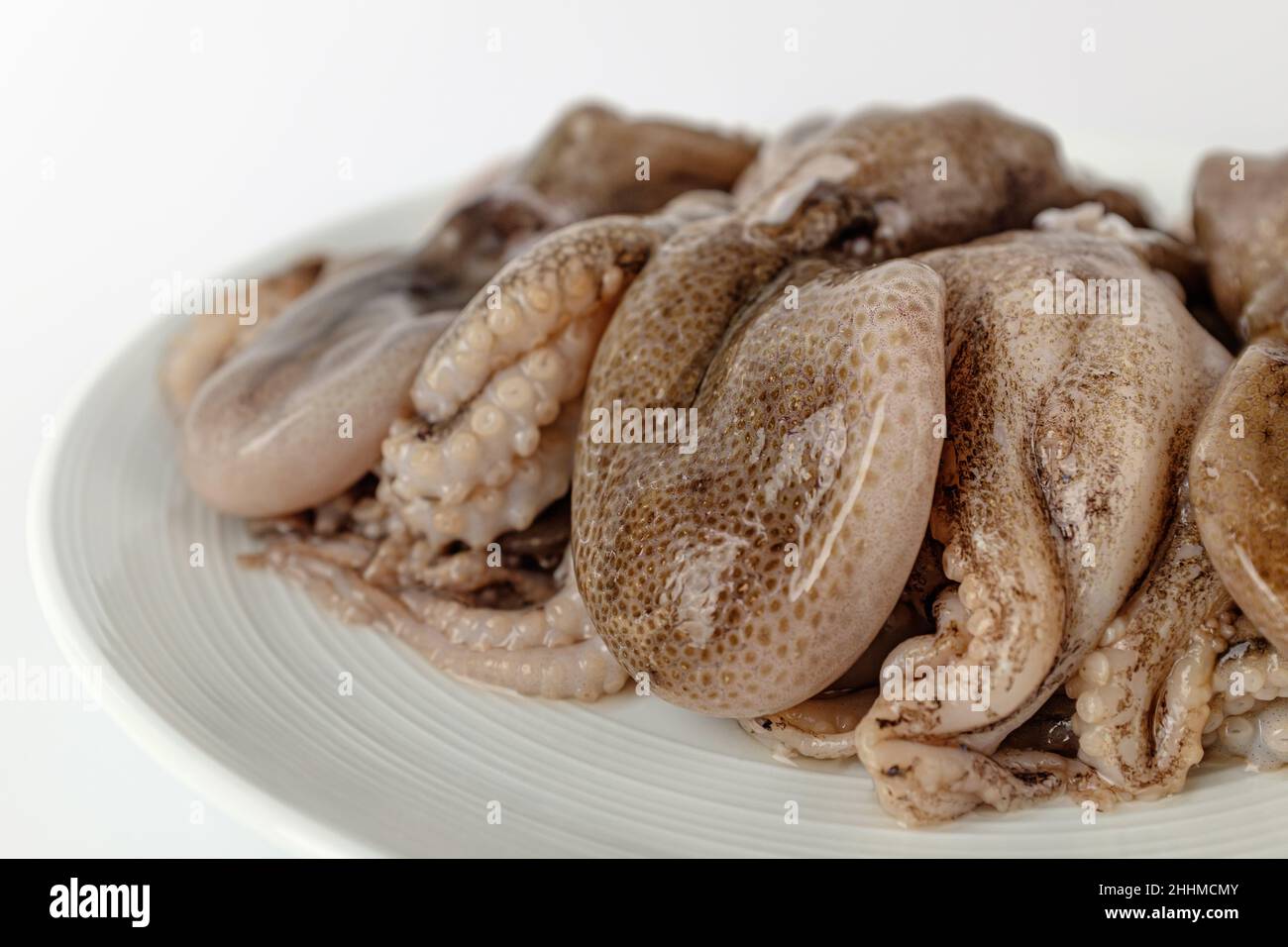 Webfoot octopus on a white background Stock Photo - Alamy
