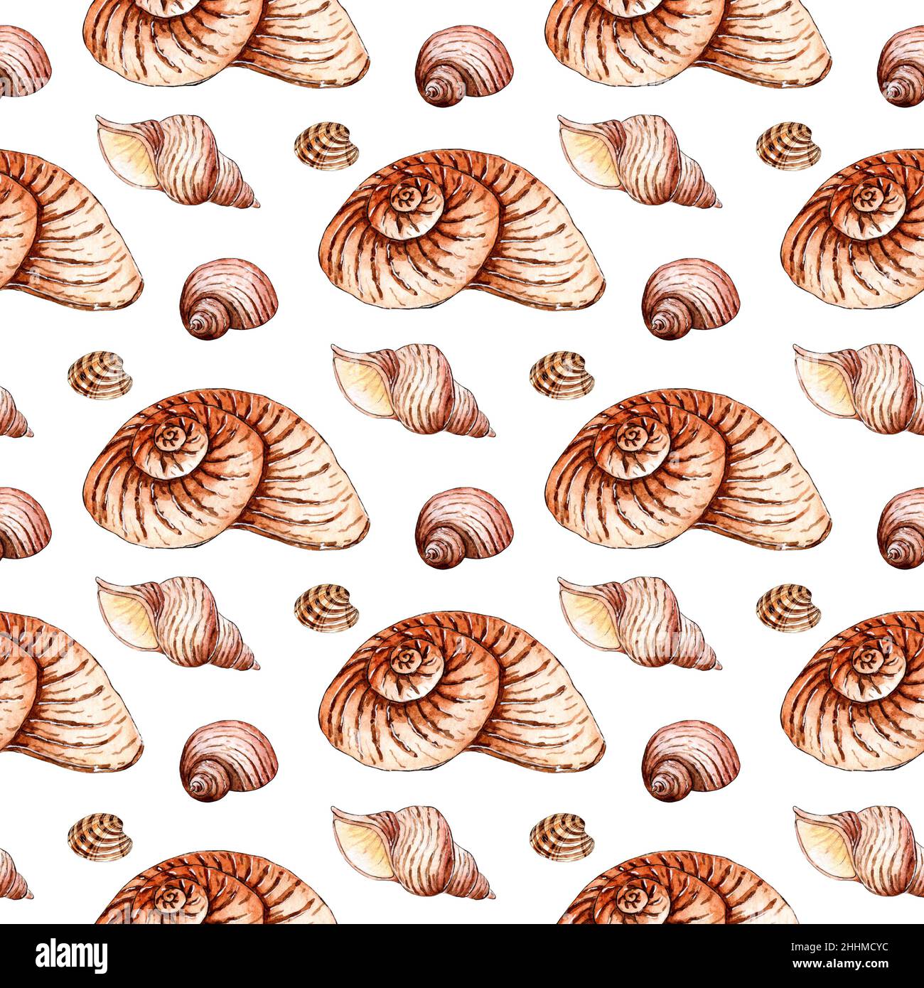 Watercolor illustration of a pattern of seamless seashells in beige ...