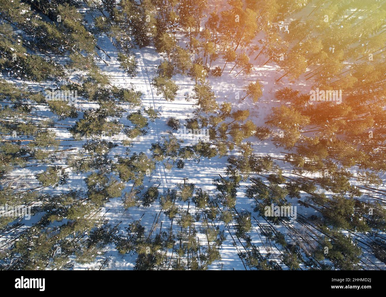 Wild forest background above top drone view. White snow spots in frozen ...