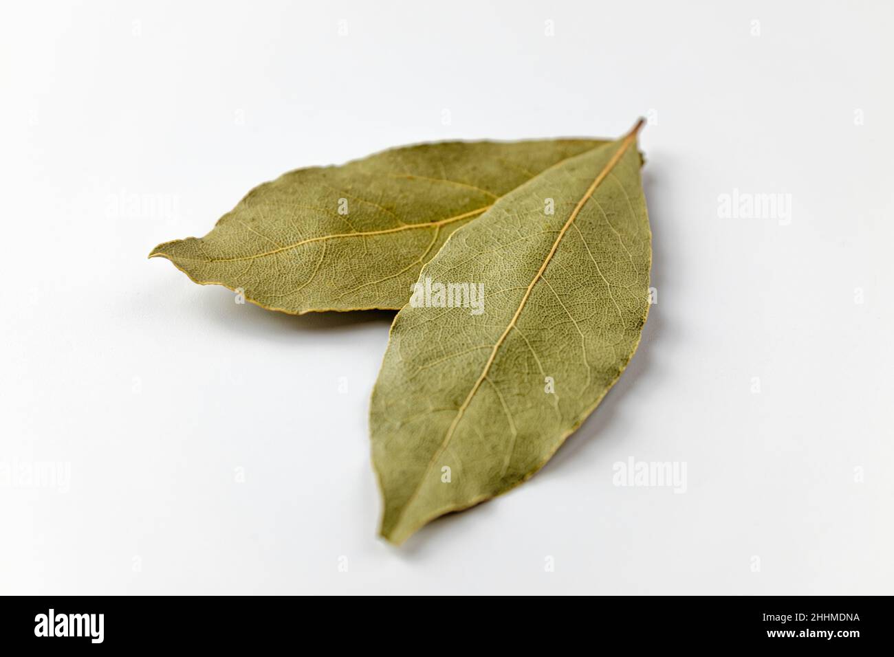 Bay leaves on a white background Stock Photo - Alamy