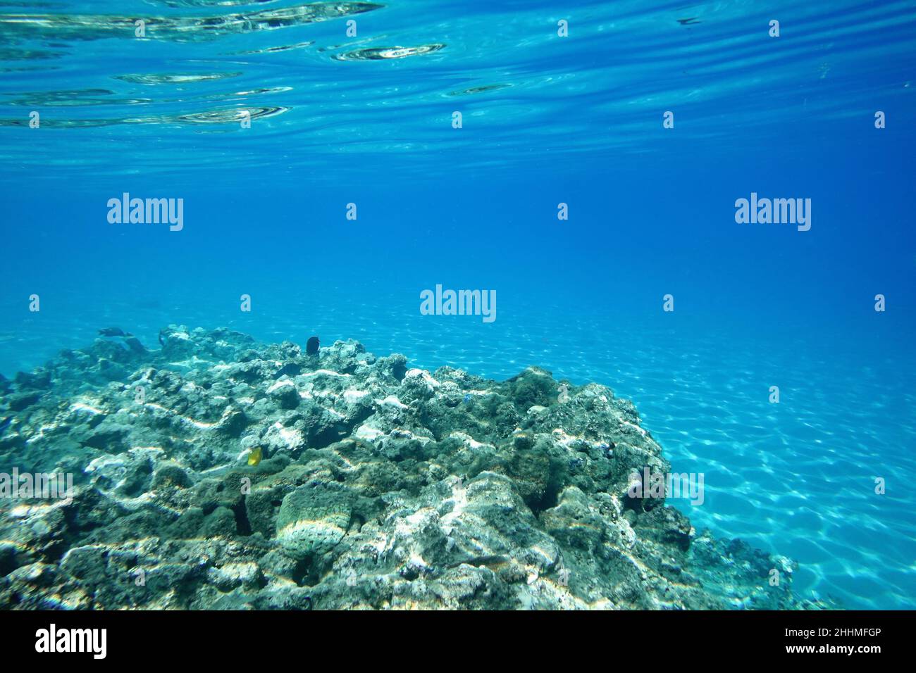 Beautiful underwater as a background Stock Photo - Alamy