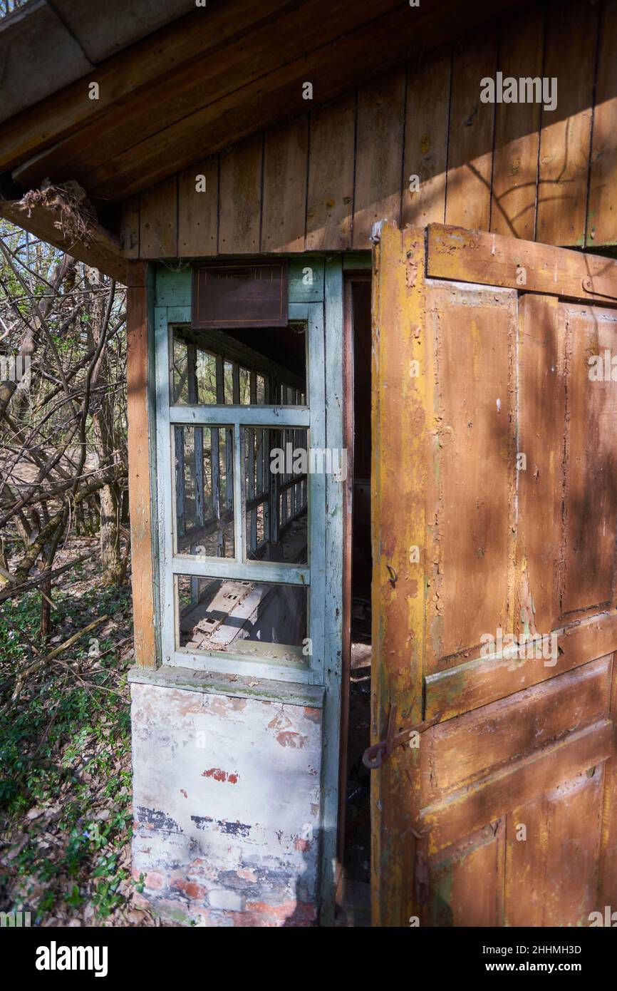 abandoned house overgrown with wild plants that started yellow in the ...
