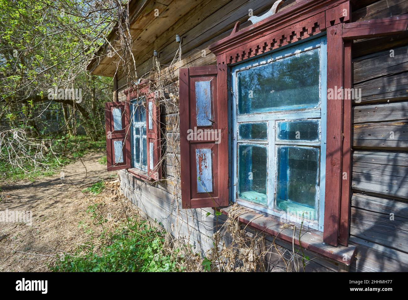 abandoned house overgrown with wild plants that started yellow in the ...