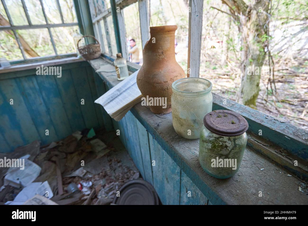 abandoned house overgrown with wild plants that started yellow in the ...