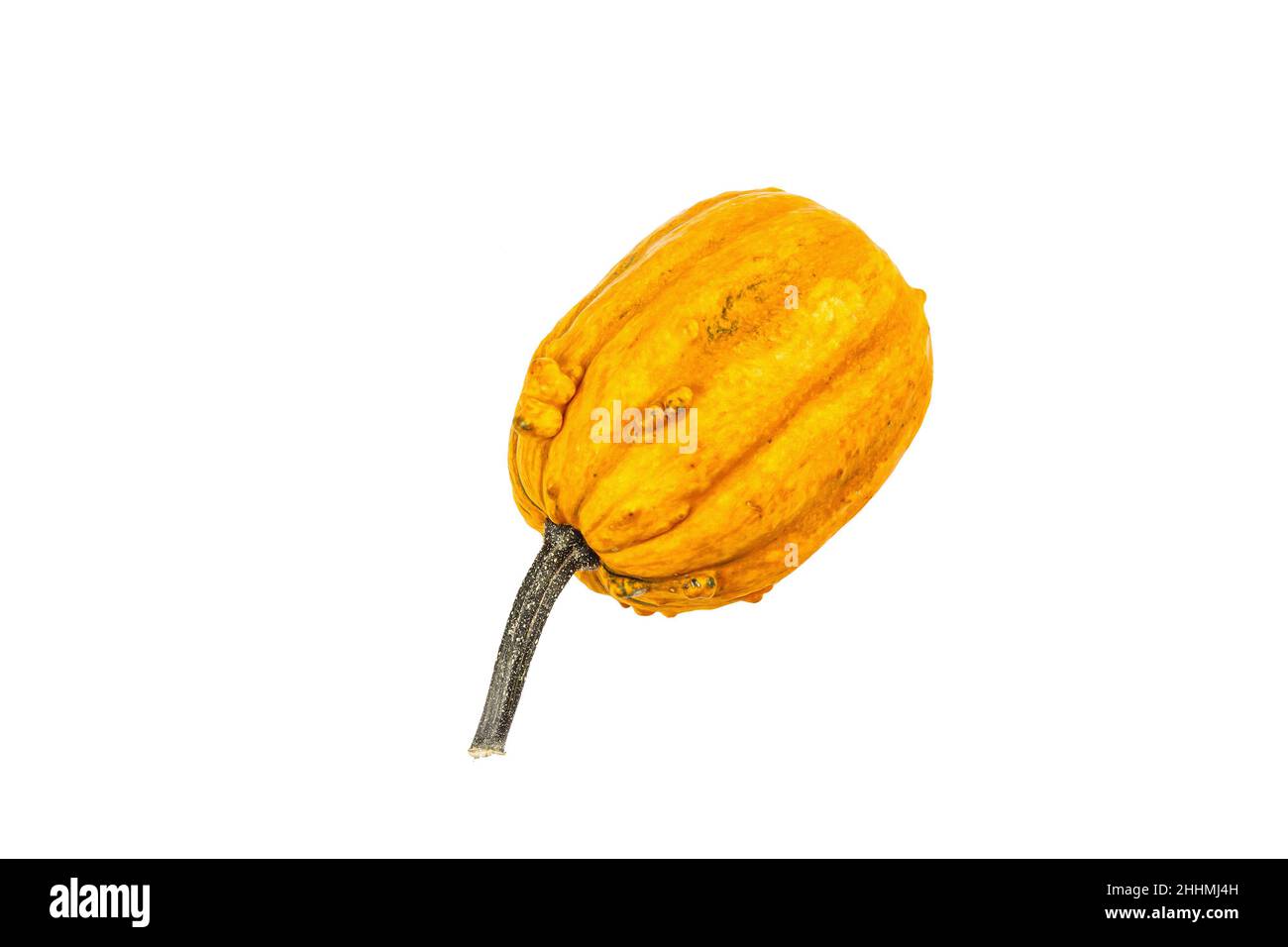 Ripe orange pumpkin isolated on white background. Whole squash ...