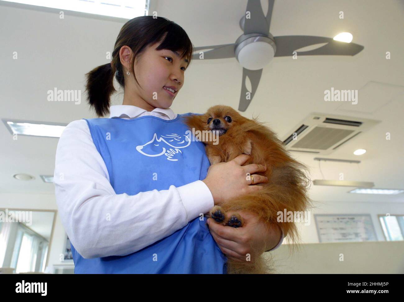 STAFF AT SAMSUNG EVERLAND KENNELS. THE KENNELS ARE INVOLVED IN TRAINING ...