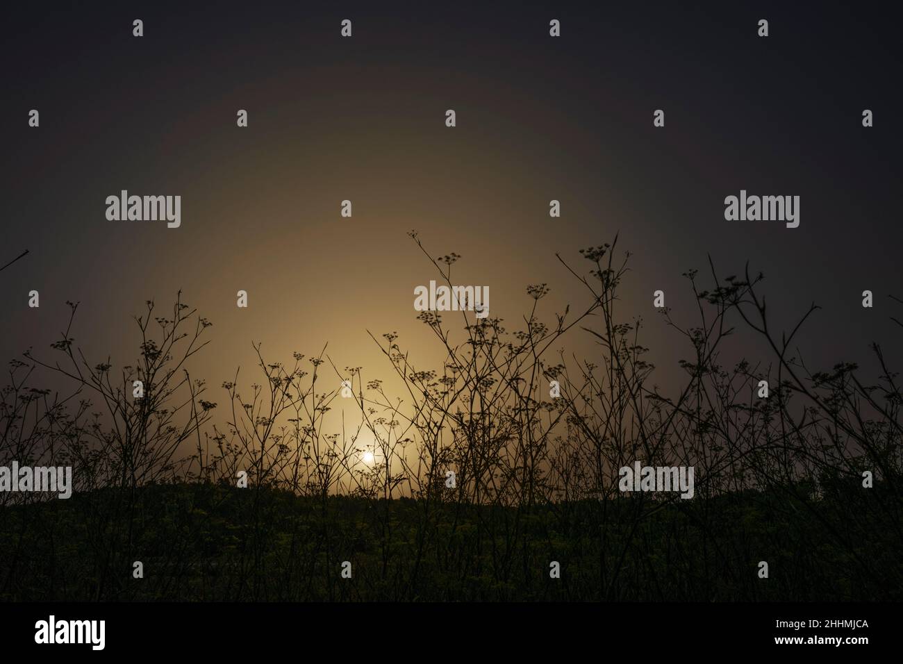 Warm tone scenery hi-res stock photography and images - Alamy